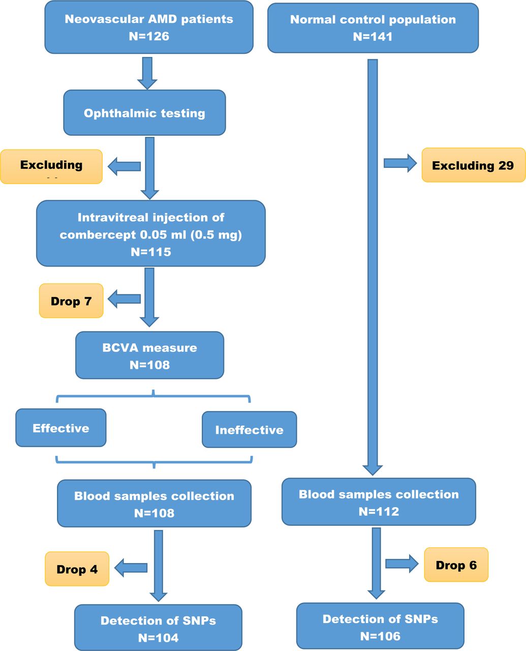 Genotypes of SNPs of key genes regulate susceptibility and drug ...