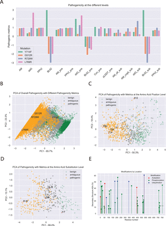 Deep learning–based assessment of missense variants in the COG4 gene ...