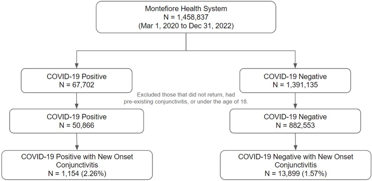 New-onset conjunctivitis 3.5 years post SARS-CoV-2 infection in an ...