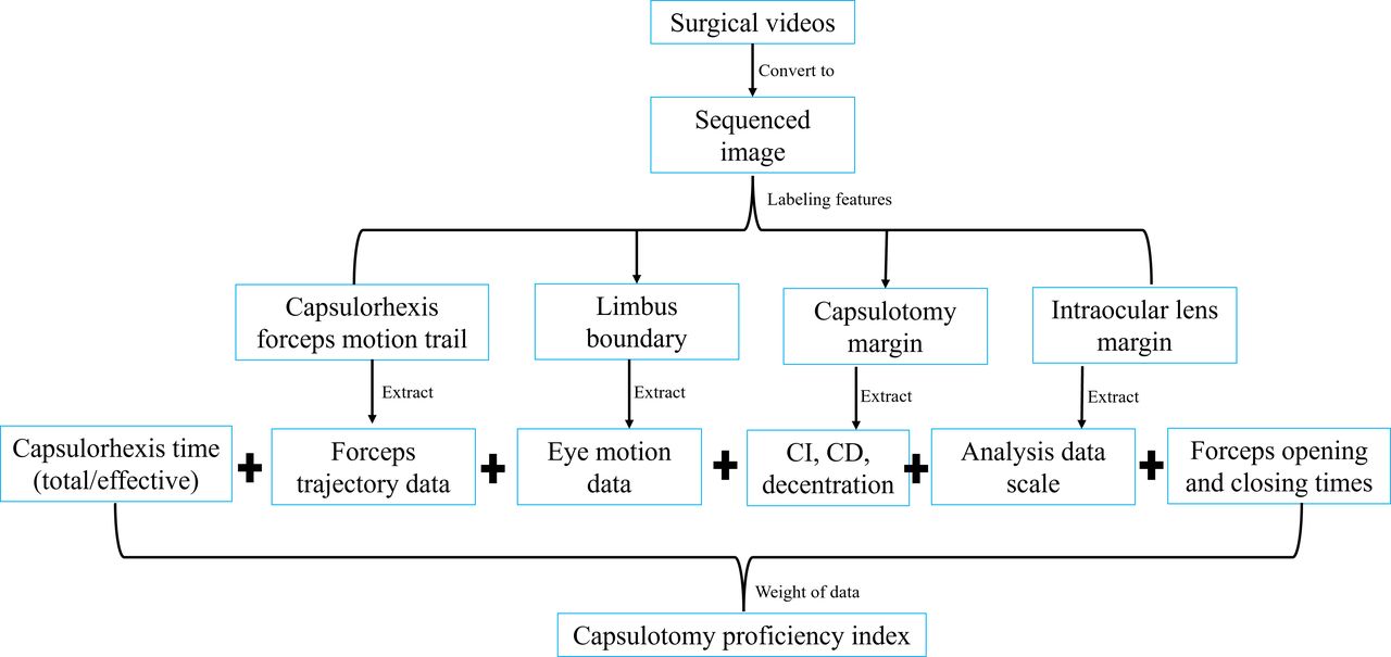 Evaluating continuous curvilinear capsulorhexis proficiency via video ...