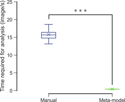 Development of a cloud-based estimator for analysing the disc–fovea ...